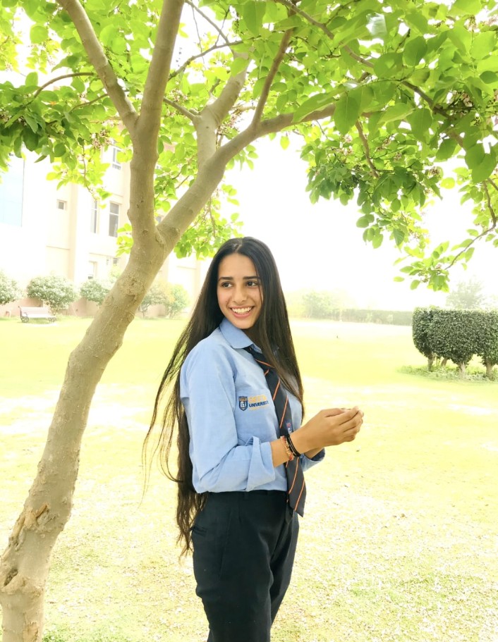 Login Geeta University
